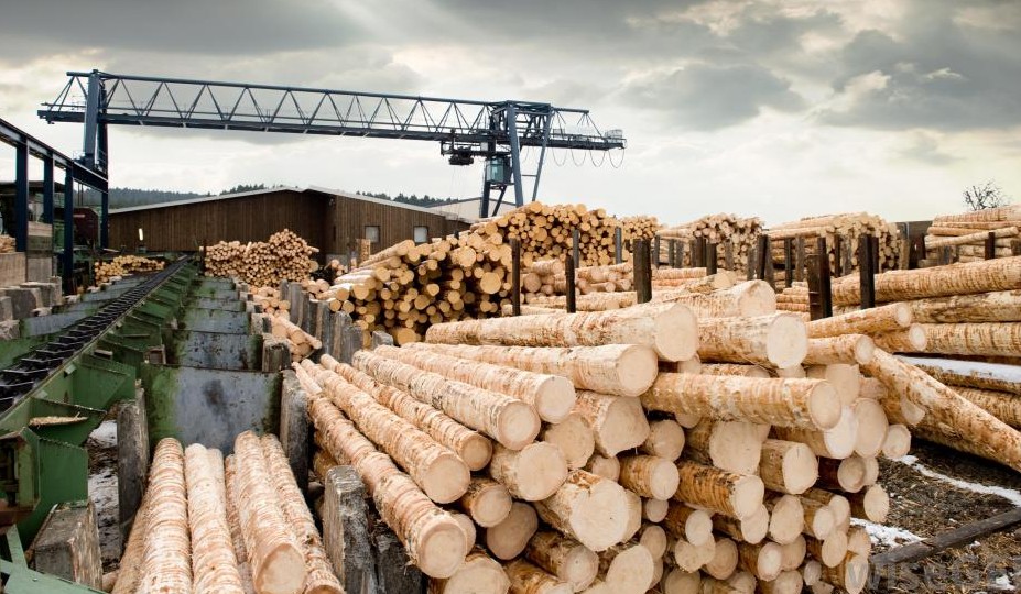 National Timber Group Enters Administration Notice